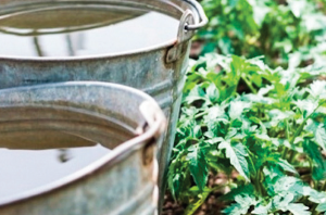 Types of Irrigation – National Irrigation Commission